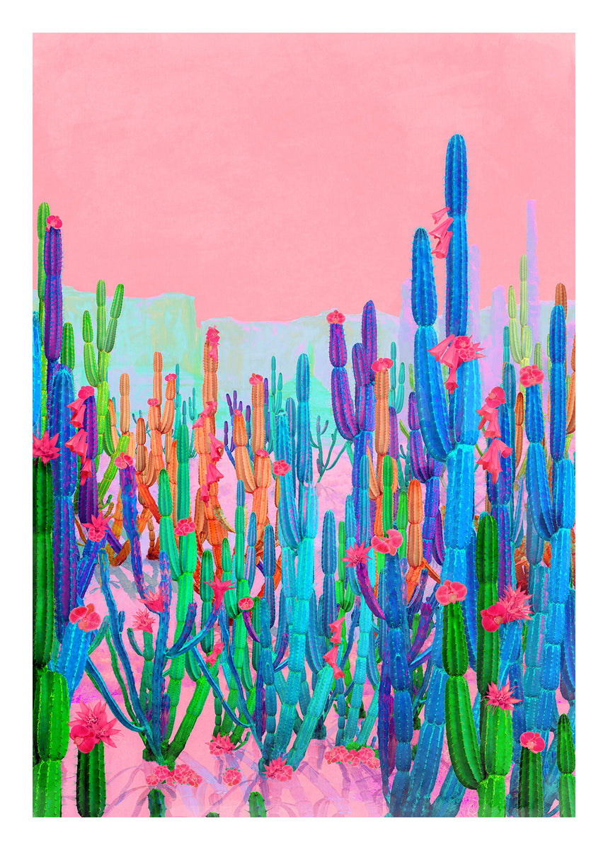 Cactus Canyon - Limited Edition Fine Art – Nadia Attura